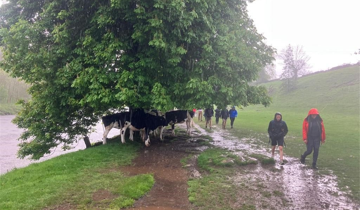 Our Leeds office ‘go walking’ - News - Gateley